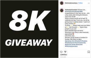 15 Instagram Giveaway Examples to Grow Your Audience (2026)