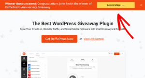 How to Announce a Giveaway Winner (9 Examples and Templates)