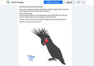 10 Best Caption Contest Examples (and How to Run One)