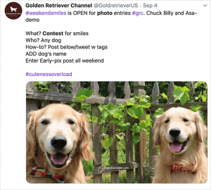 11 Proven X (Twitter) Giveaway Ideas to Grow Your Brand 2025