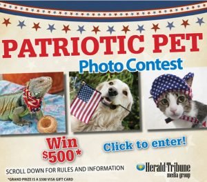 10+ Best Independence Day Contest Ideas, Examples, & Prizes
